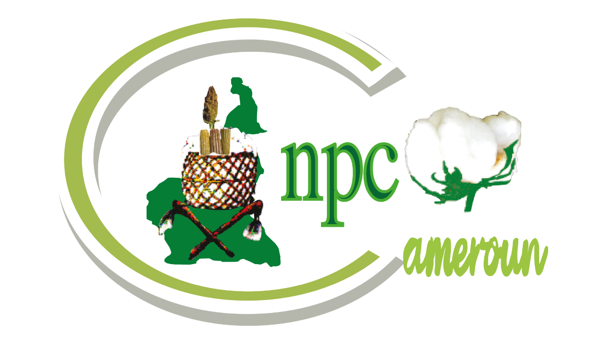 DOCUMENTATION | CNPC-C